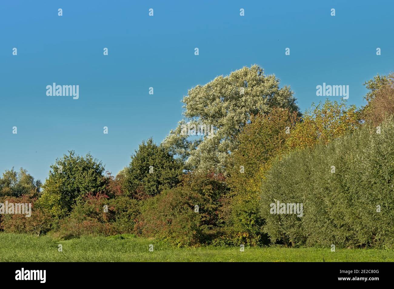 Toturist hi-res stock photography and images - Alamy