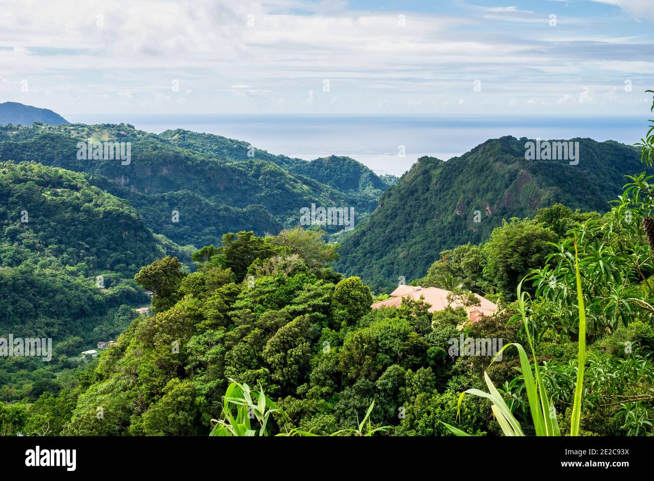 Landscape view on trail to the Trafalgar waterfalls. Morne Trois Pitons ...