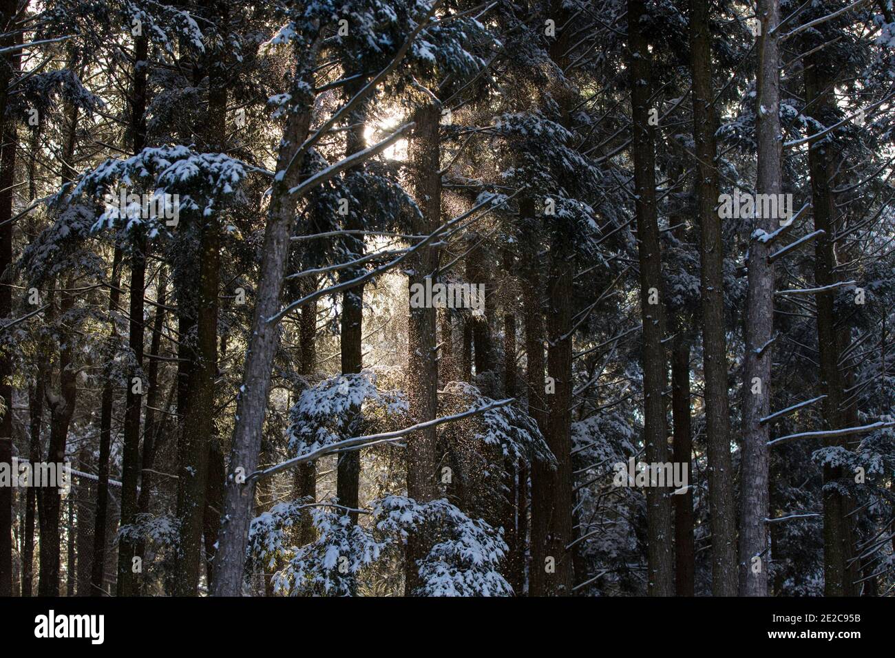 Canadas wonderland hi-res stock photography and images - Alamy