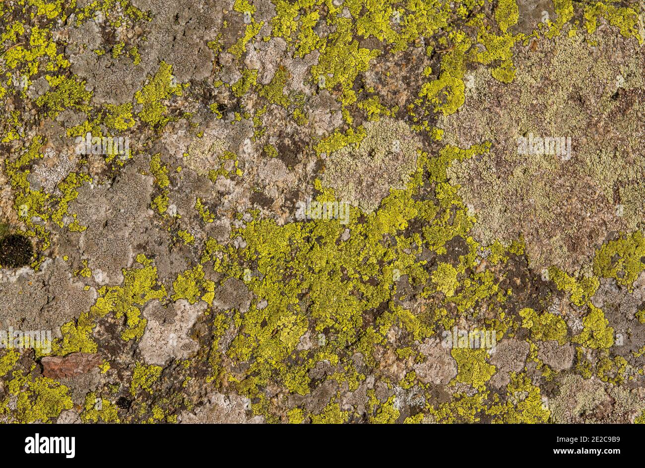 Green stone texture hi-res stock photography and images - Alamy