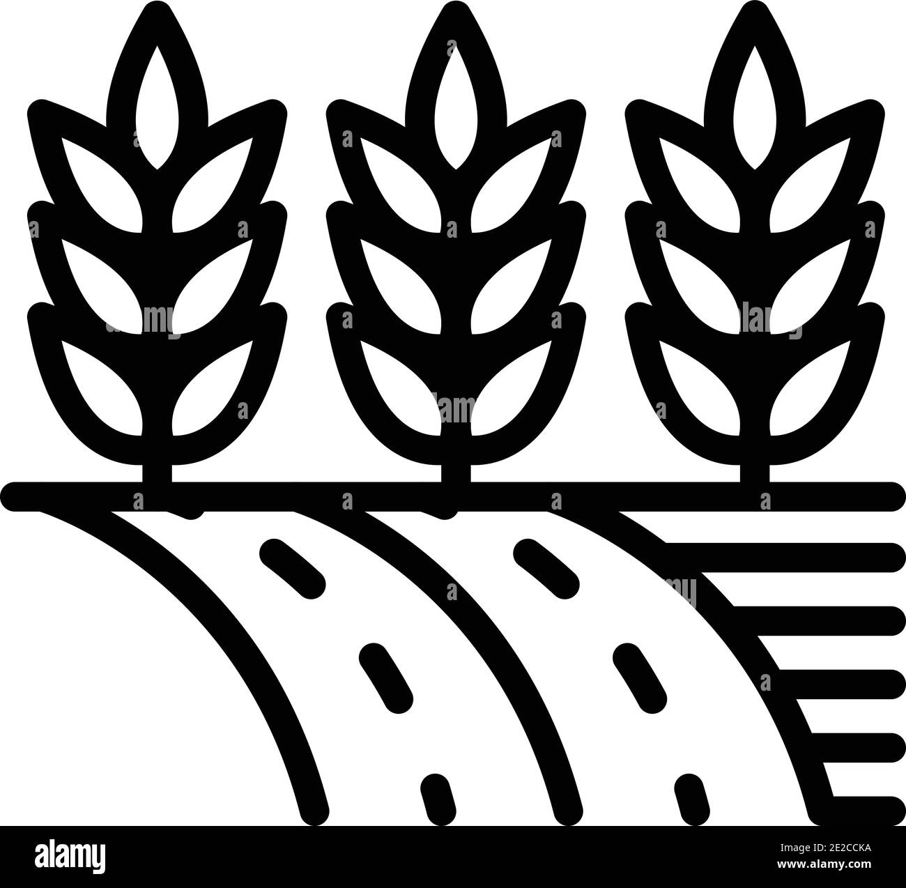 Wheat land icon. Outline wheat land vector icon for web design isolated ...