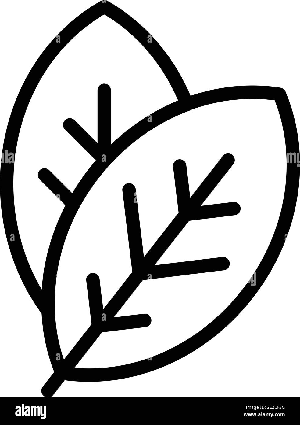 Organic leaves farm icon. Outline organic leaves farm vector icon for ...