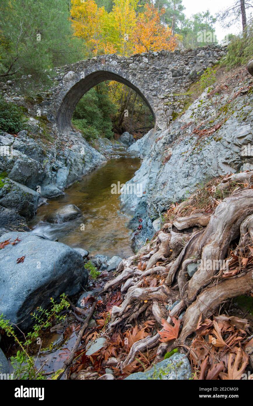 Medieval stoned bridge water flowing in the river in autumn Stock Photo ...