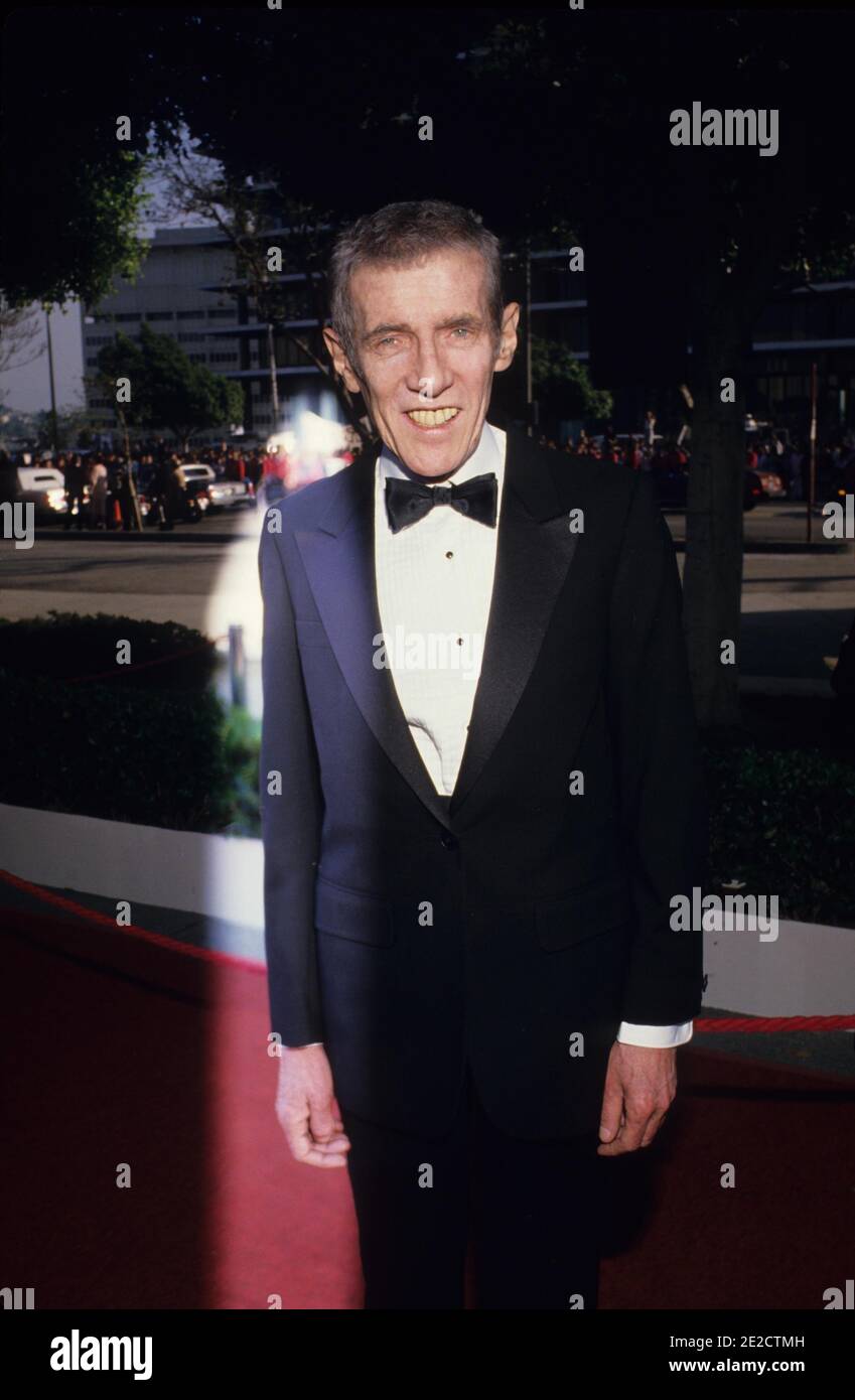 WILLIAM MICKEY STEVENSONf2403 f2570 Credit: Ralph Dominguez/MediaPunch ...