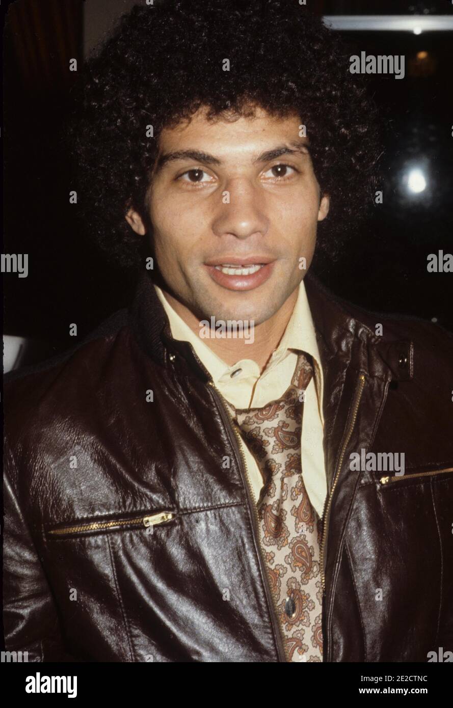 ROBERT HEGYESg8324 Credit: Ralph Dominguez/MediaPunch Stock Photo - Alamy
