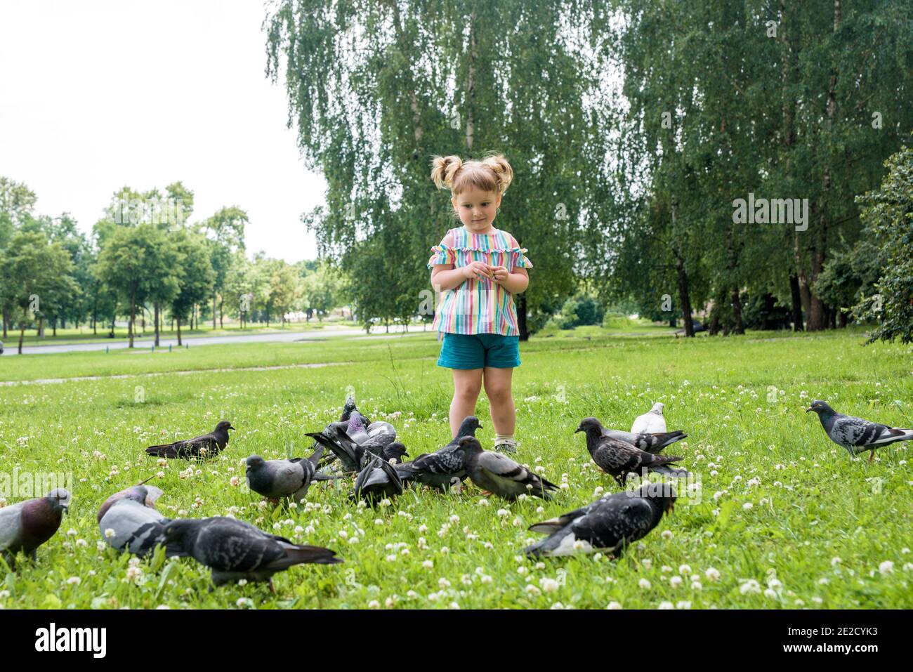 A little girl runs for pigeons.Baby Girl Chasing Pigeons In Outdoors ...