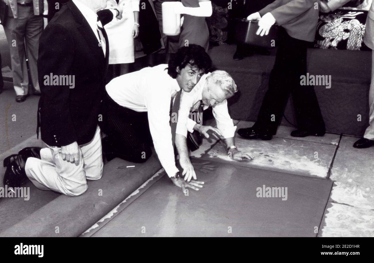 SYLVESTER STALLONECredit: Ralph Dominguez/MediaPunch Stock Photo - Alamy