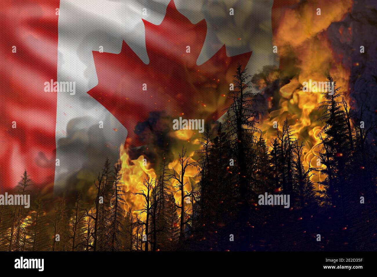 Forest fire fight concept, natural disaster - infernal fire in the ...