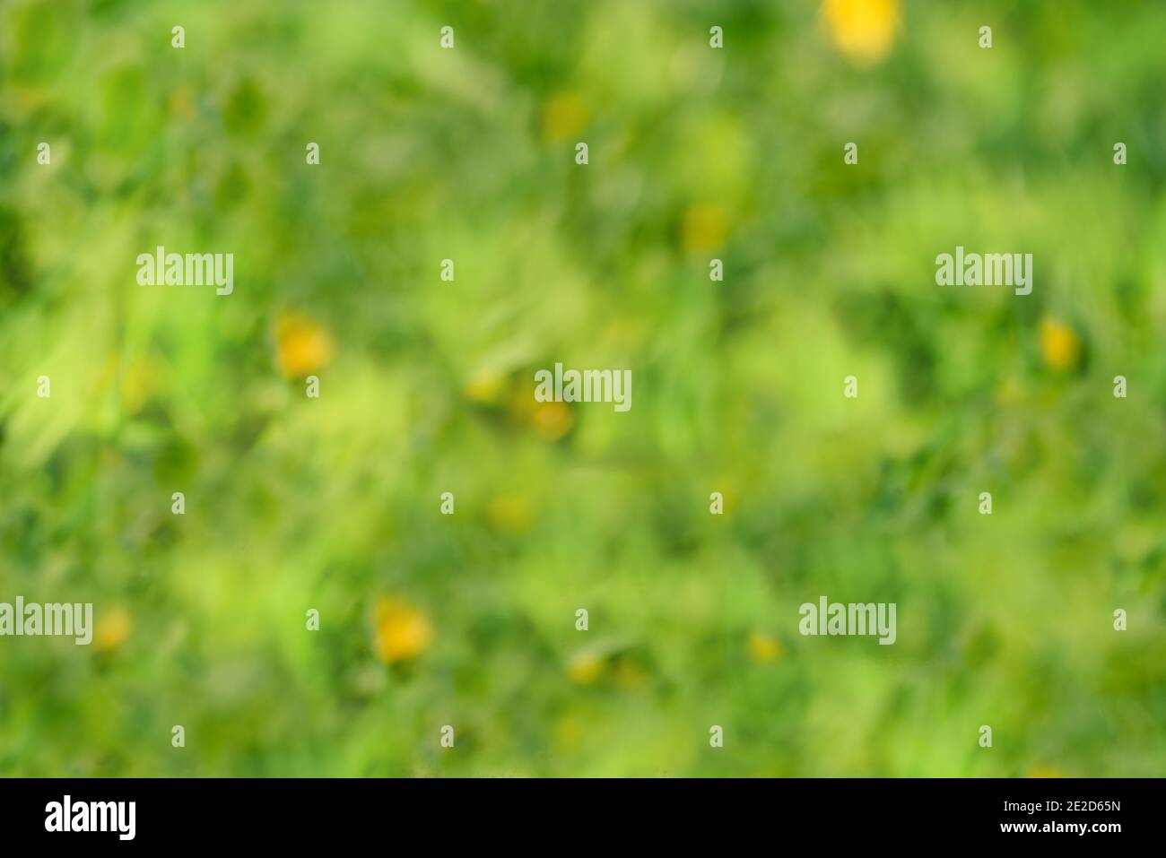 Bokeh background. Element of design. Spring summer background. Juicy ...