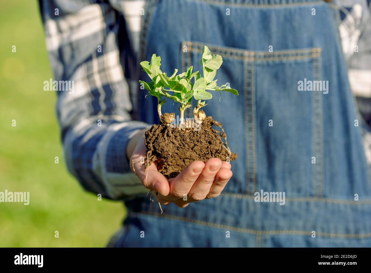 Soil preservation hi-res stock photography and images - Alamy