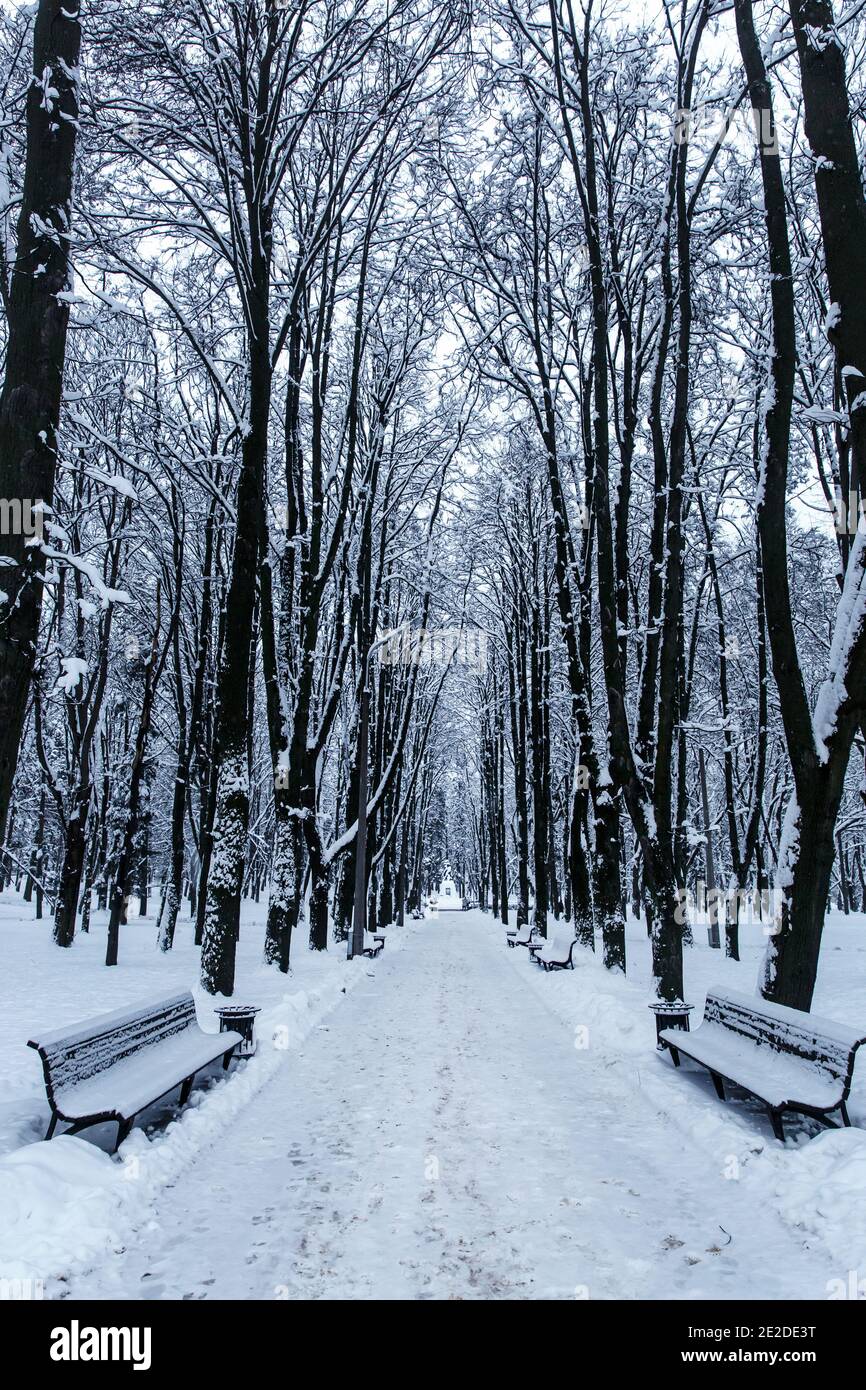 Snow covered alley benches hi-res stock photography and images - Alamy