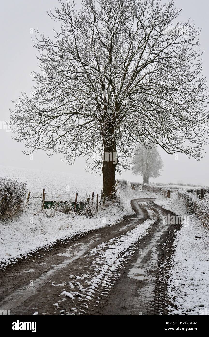 Scattered Light High Resolution Stock Photography and Images - Alamy