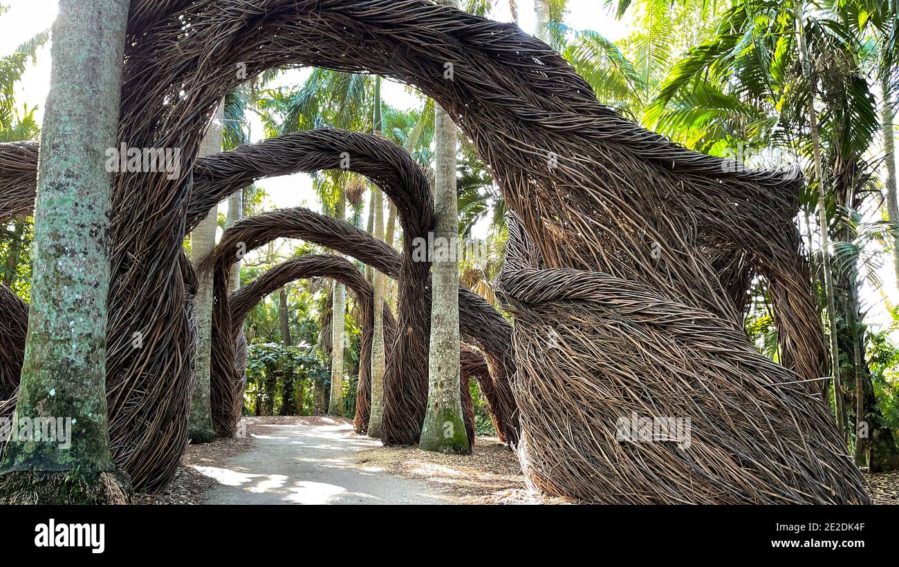 Arches of branches and leaves hi-res stock photography and images - Alamy