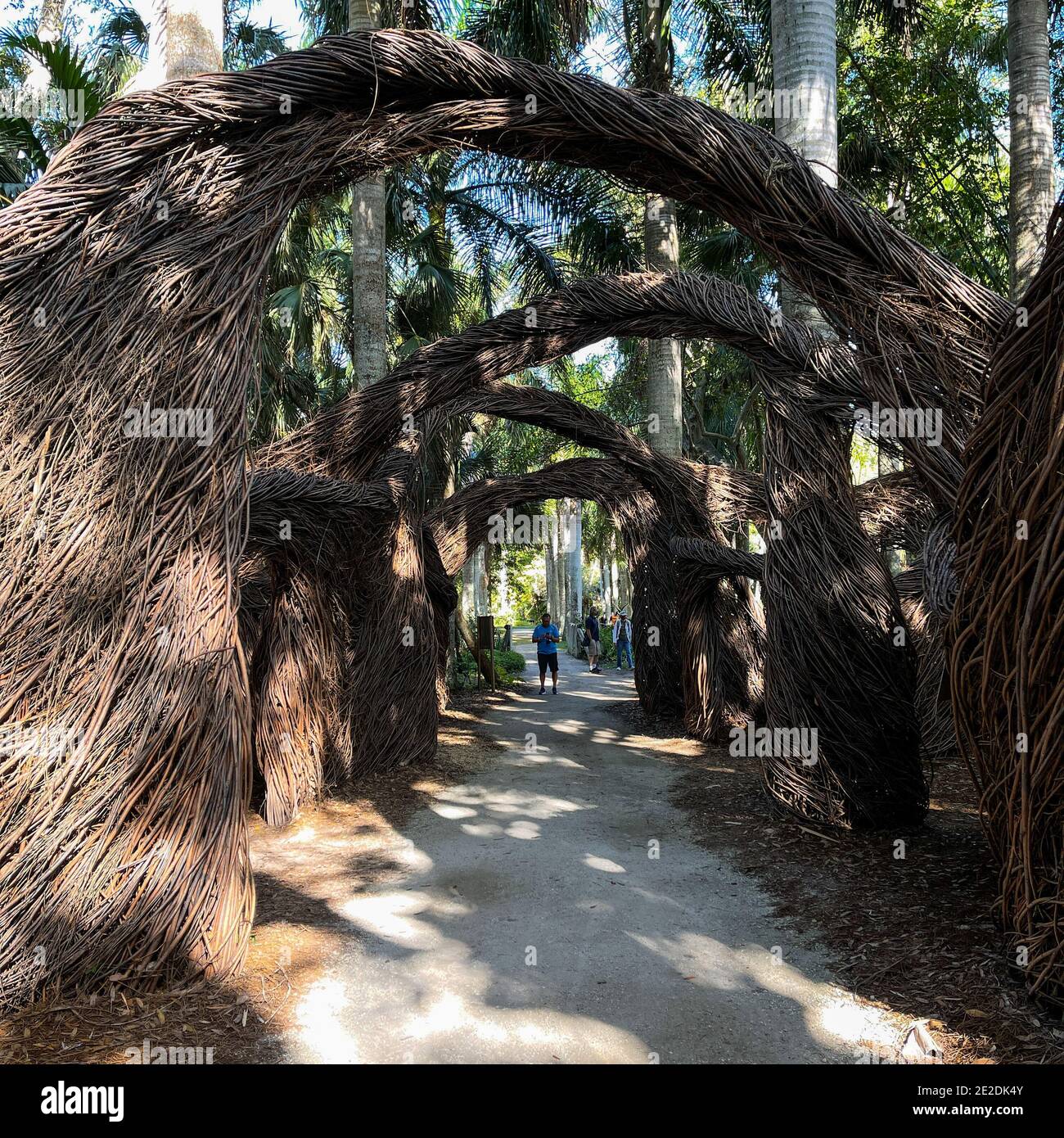 Artistic abstract arches made out of twigs in a tropical botanical ...