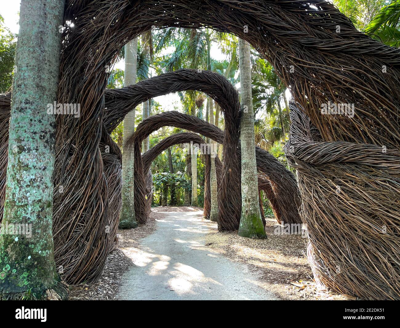 Artistic abstract arches made out of twigs in a tropical botanical ...