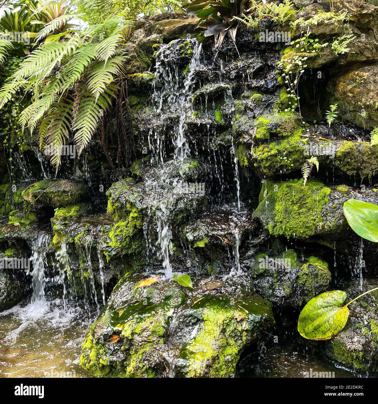 Waterfall Tropical Beach