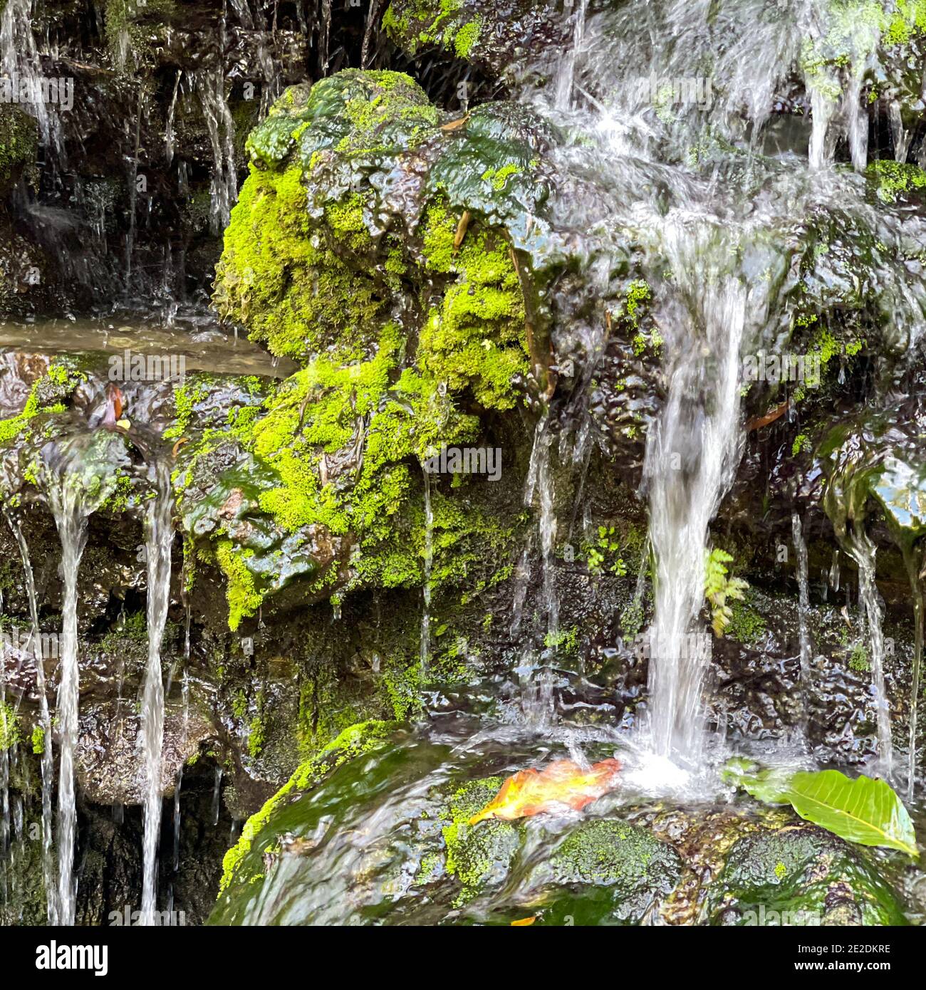 Waterfall Tropical Beach