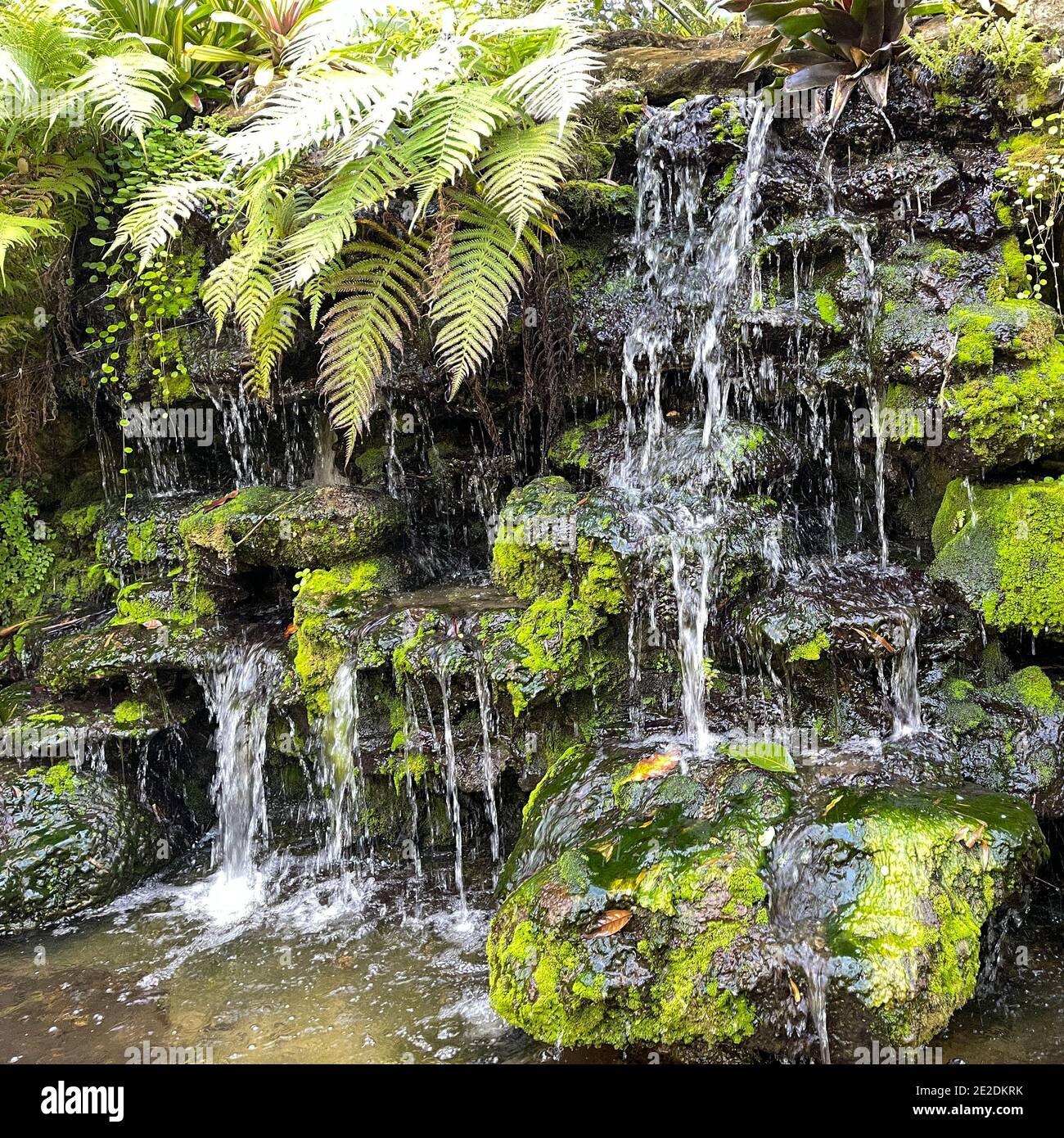 A tropical waterfall in a botanical garden in Vero Beach, Florida Stock ...