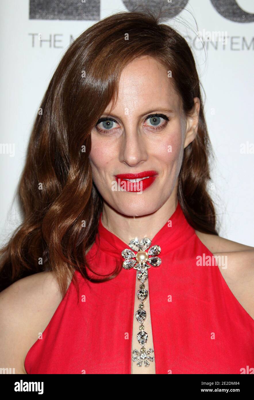 Liz Goldwyn, The Museum Of Contemporary Art Gala in Los Angeles, CA, USA, on November 12, 2011 ...
