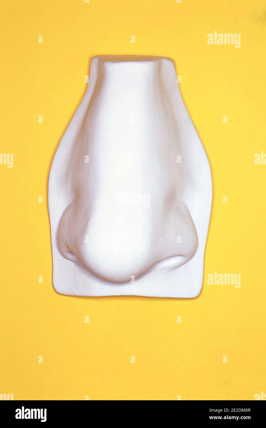 3D rendering of a human's droopy nose on a yellow background Stock ...