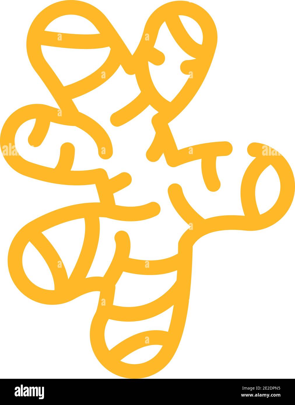 ginger root color icon vector illustration Stock Vector Image & Art - Alamy