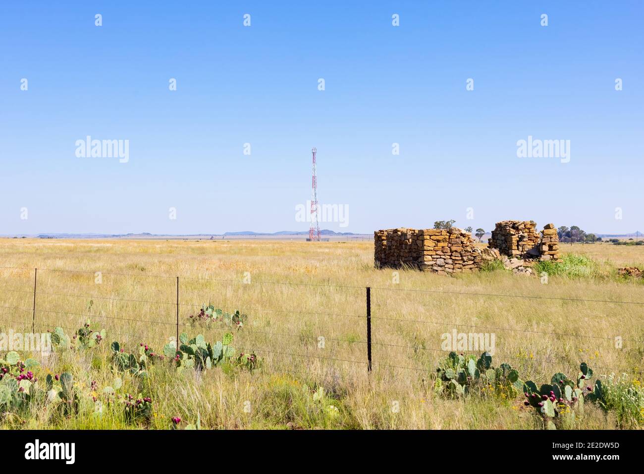 Dry grass rural field under the clear blue sky Stock Photo - Alamy