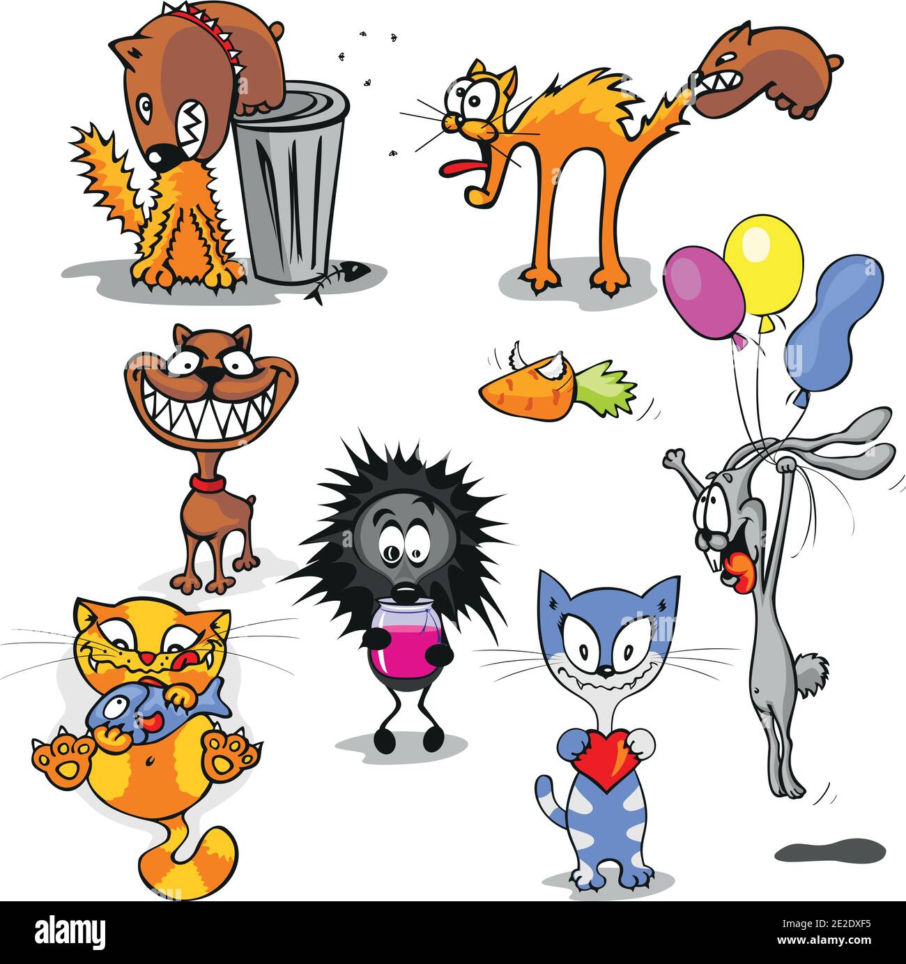 Undomesticated animals Cut Out Stock Images & Pictures - Alamy