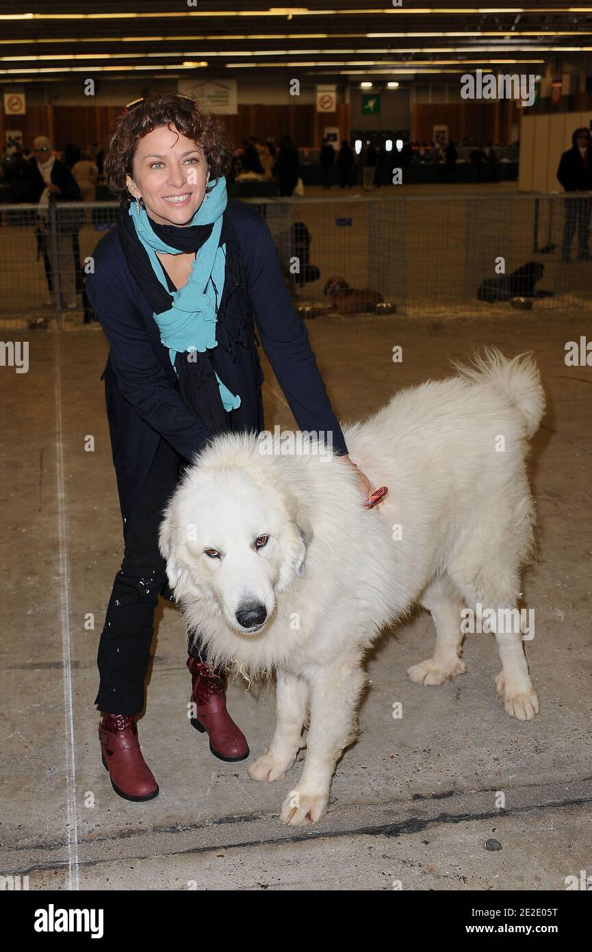 Corinne Touzet attending 'Le Noel des Animaux' held at Porte de ...