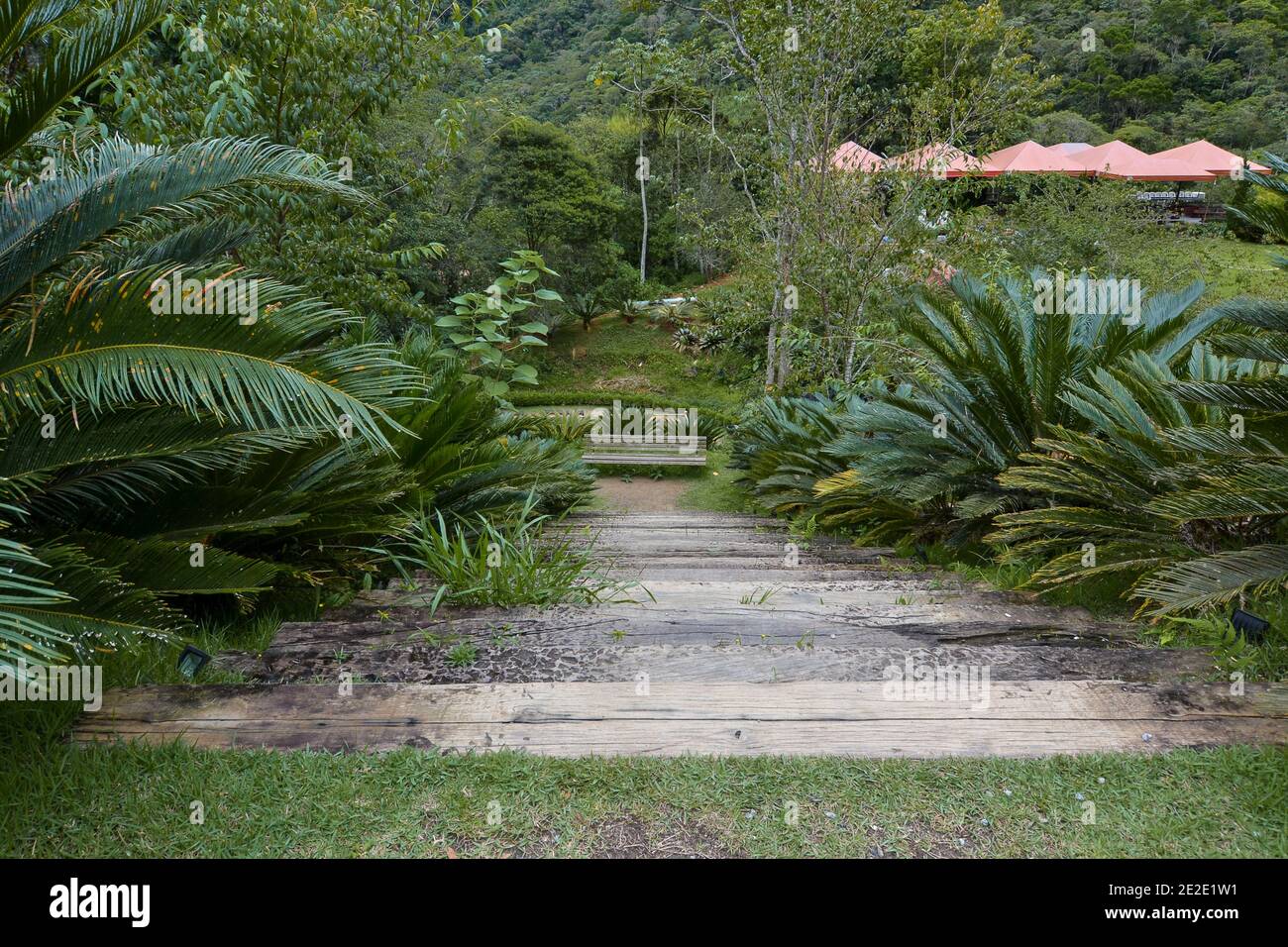 Couple going up stairs hi-res stock photography and images - Alamy