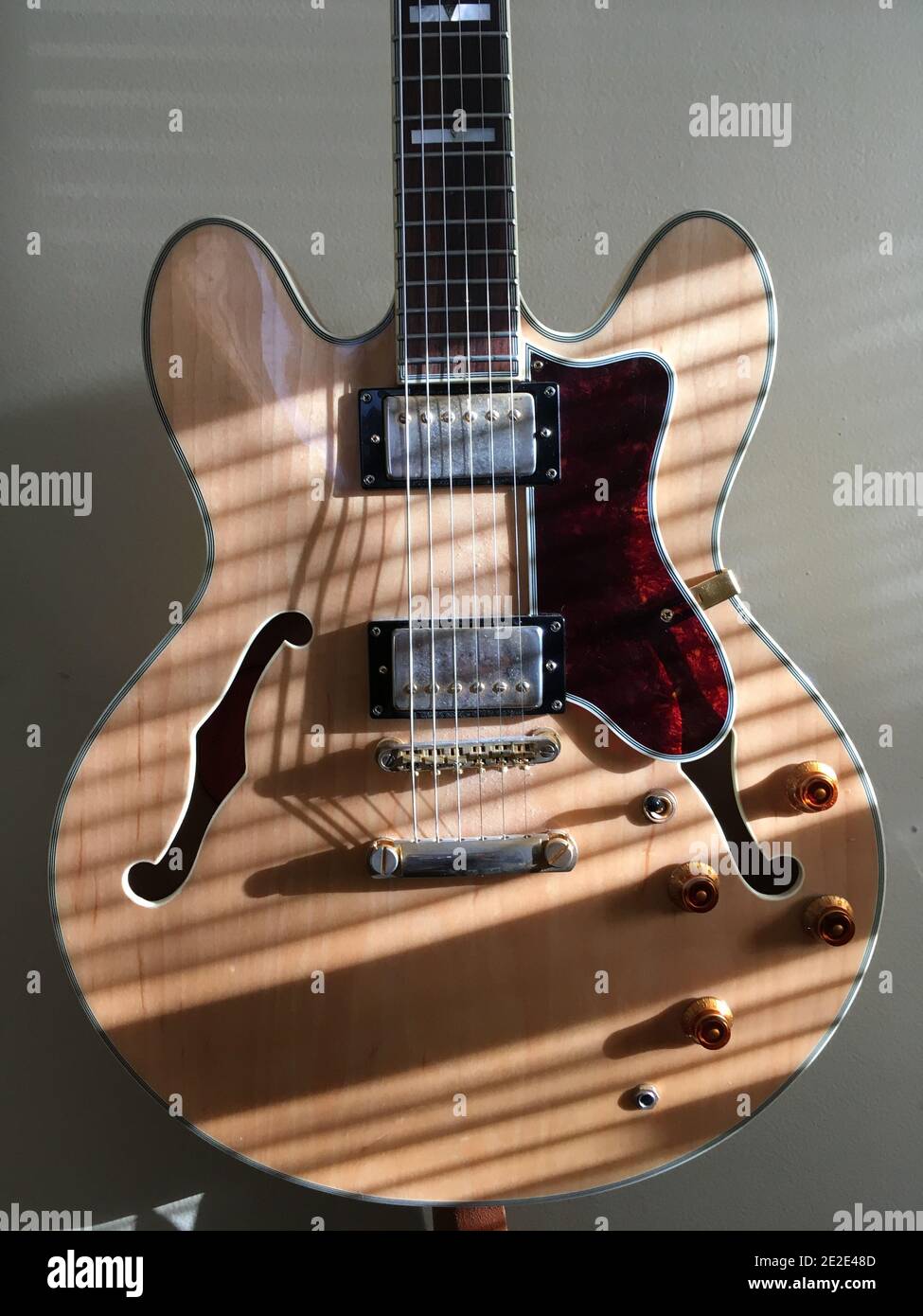 Six String Electric Stock Photo - Alamy