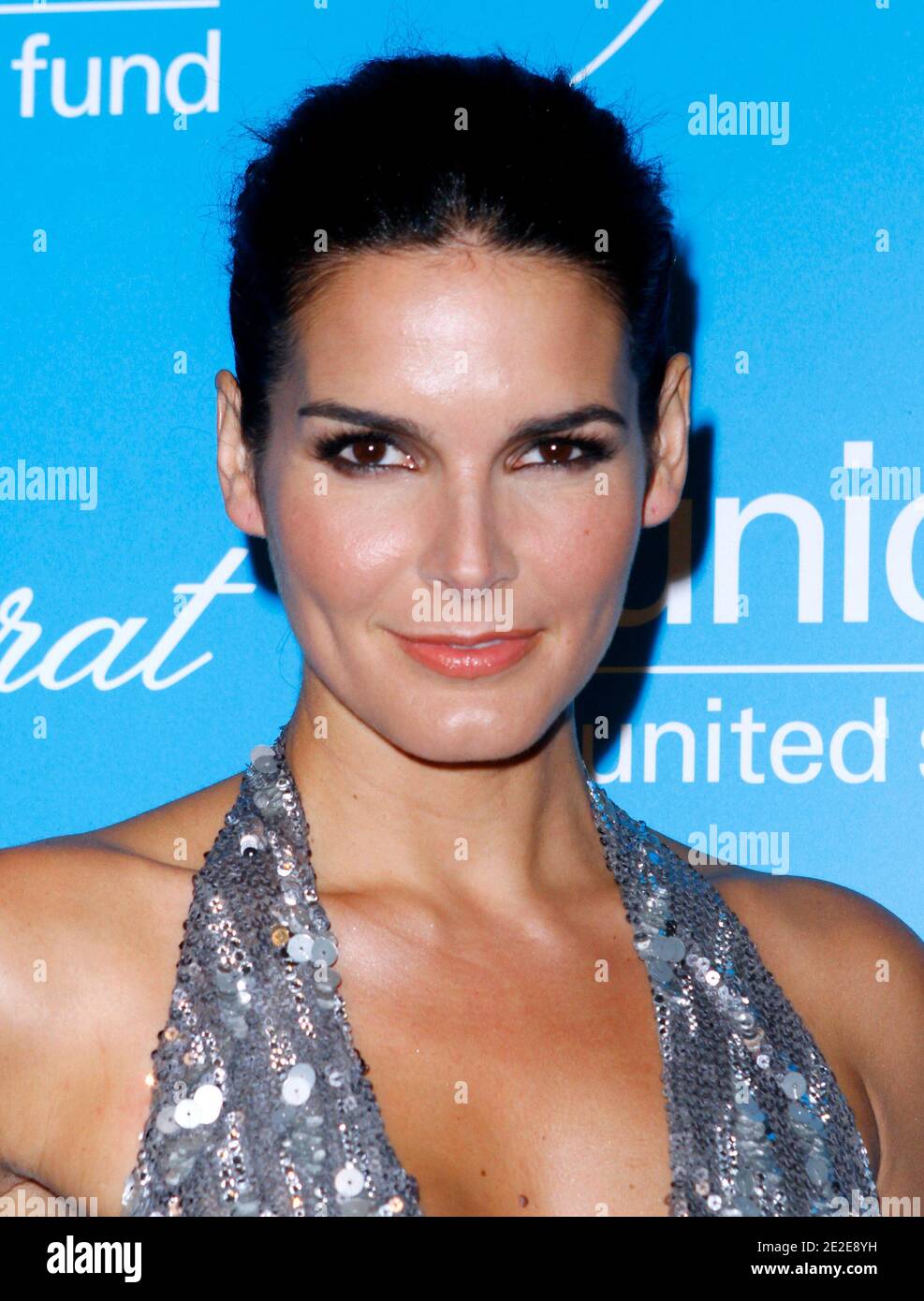 Angie Harmon attends the 7th Annual UNICEF Snowflake Ball at Cipriani ...