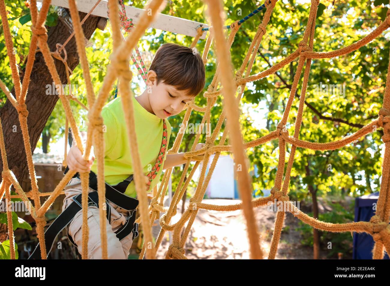 Little boy climbing in adventure park Stock Photo - Alamy