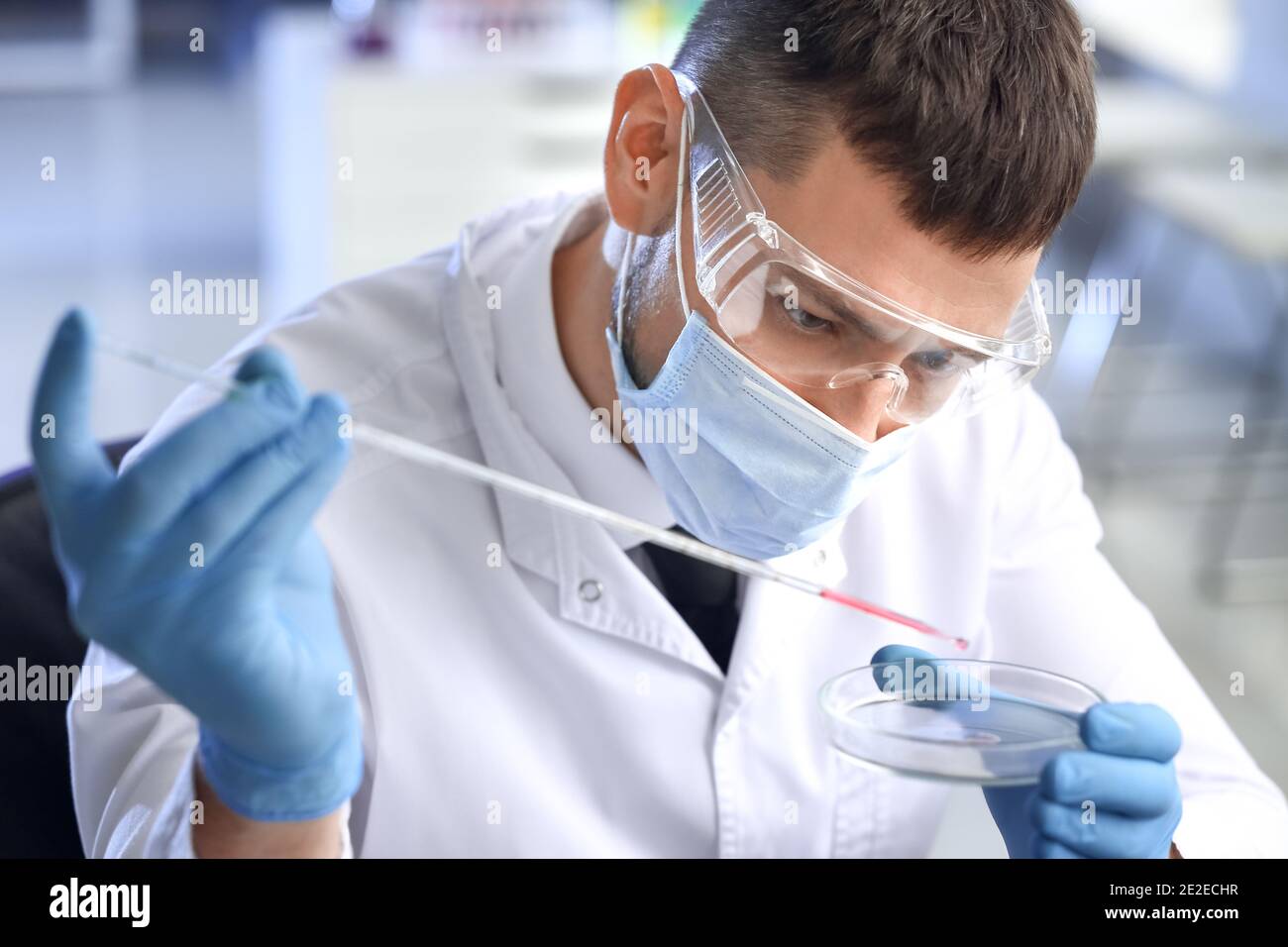 Scientist working with sample in laboratory Stock Photo - Alamy