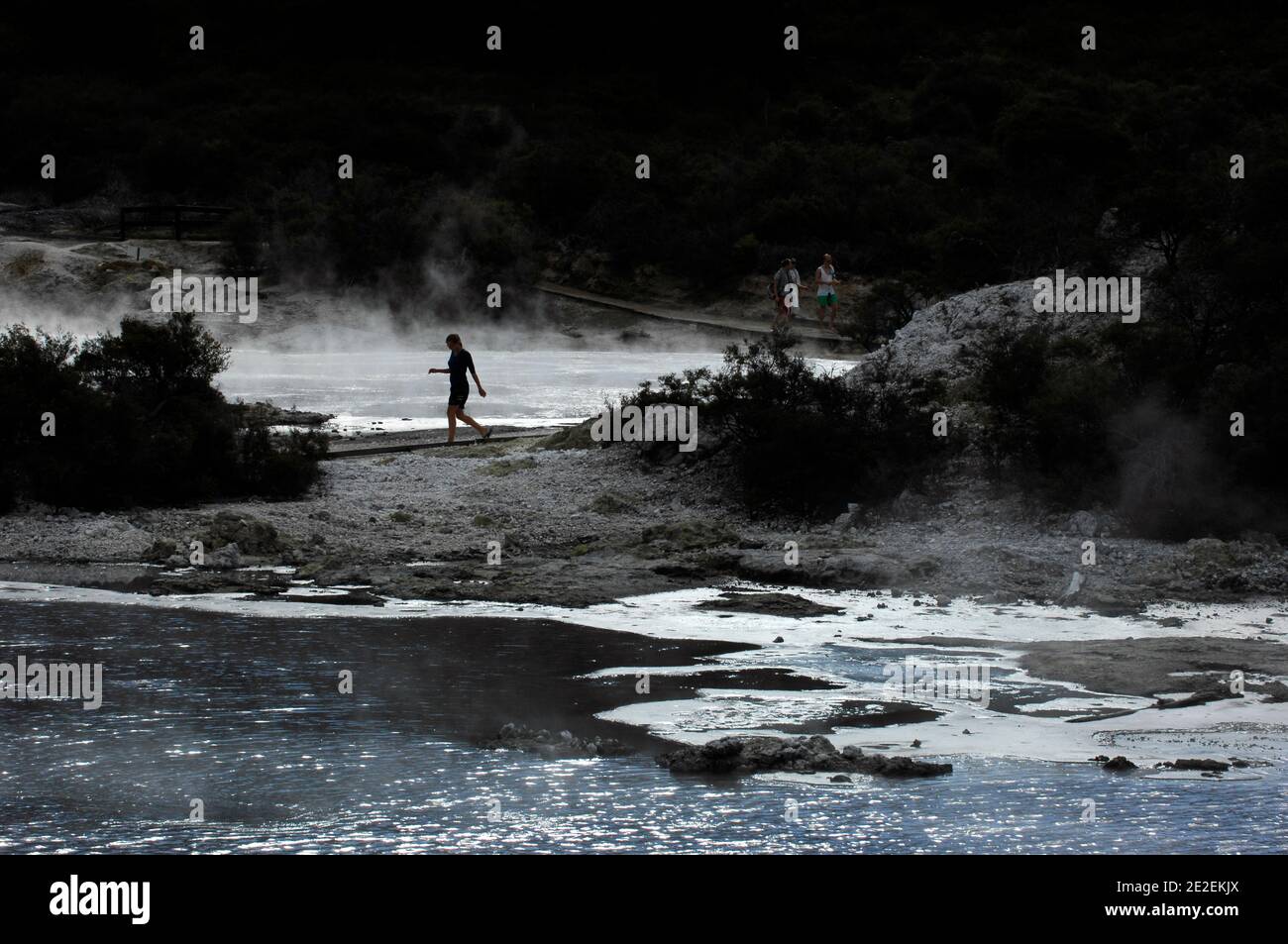 Thermal Park "Hells Gate", Rotura, New Zealand.Parc thermal " Hells ...