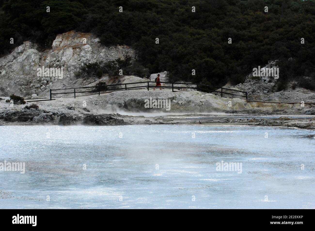Thermal Park "Hells Gate", Rotura, New Zealand.Parc thermal " Hells ...
