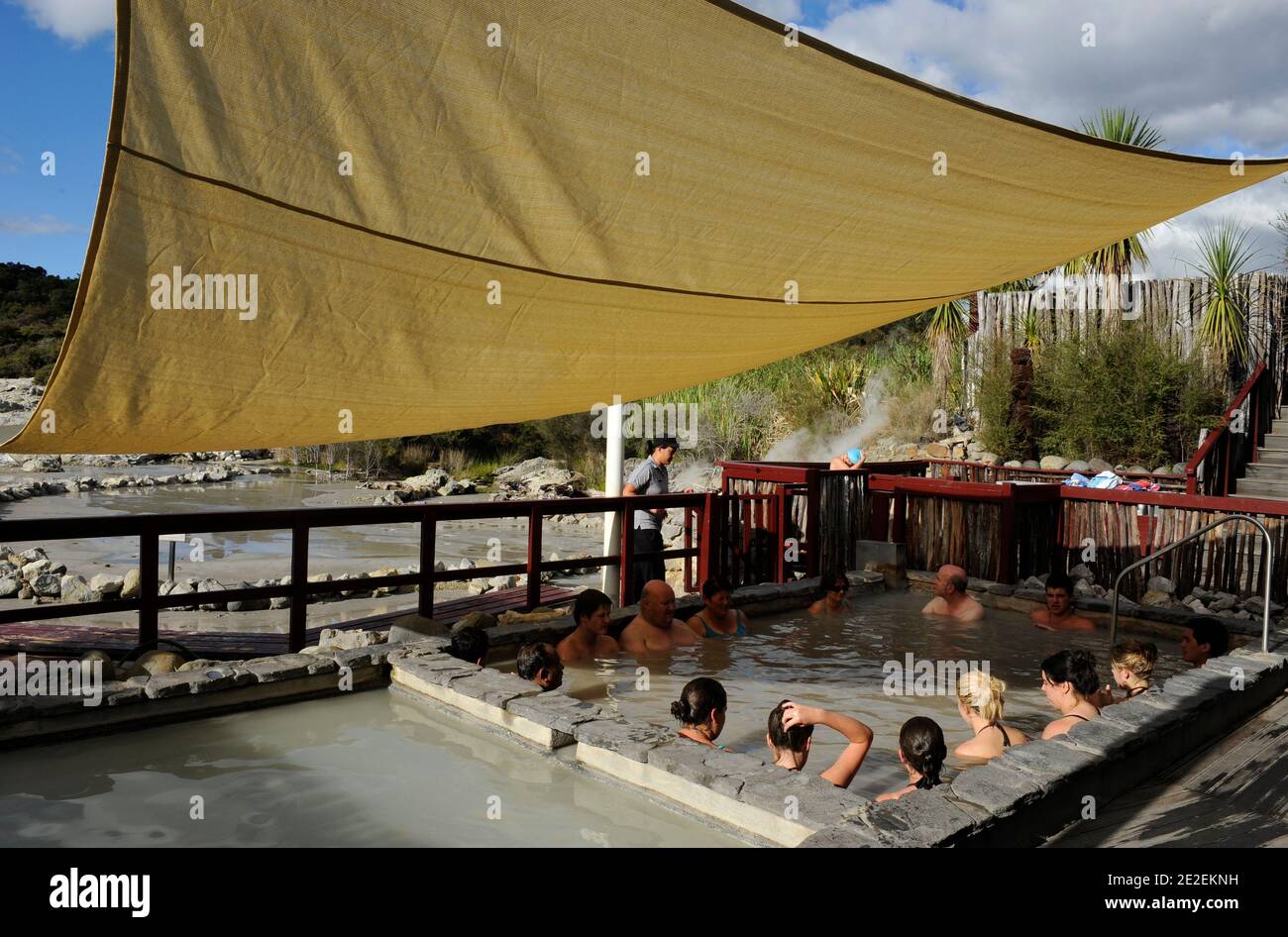 Thermal Park "Hells Gate", Rotura, New Zealand.Parc thermal " Hells ...