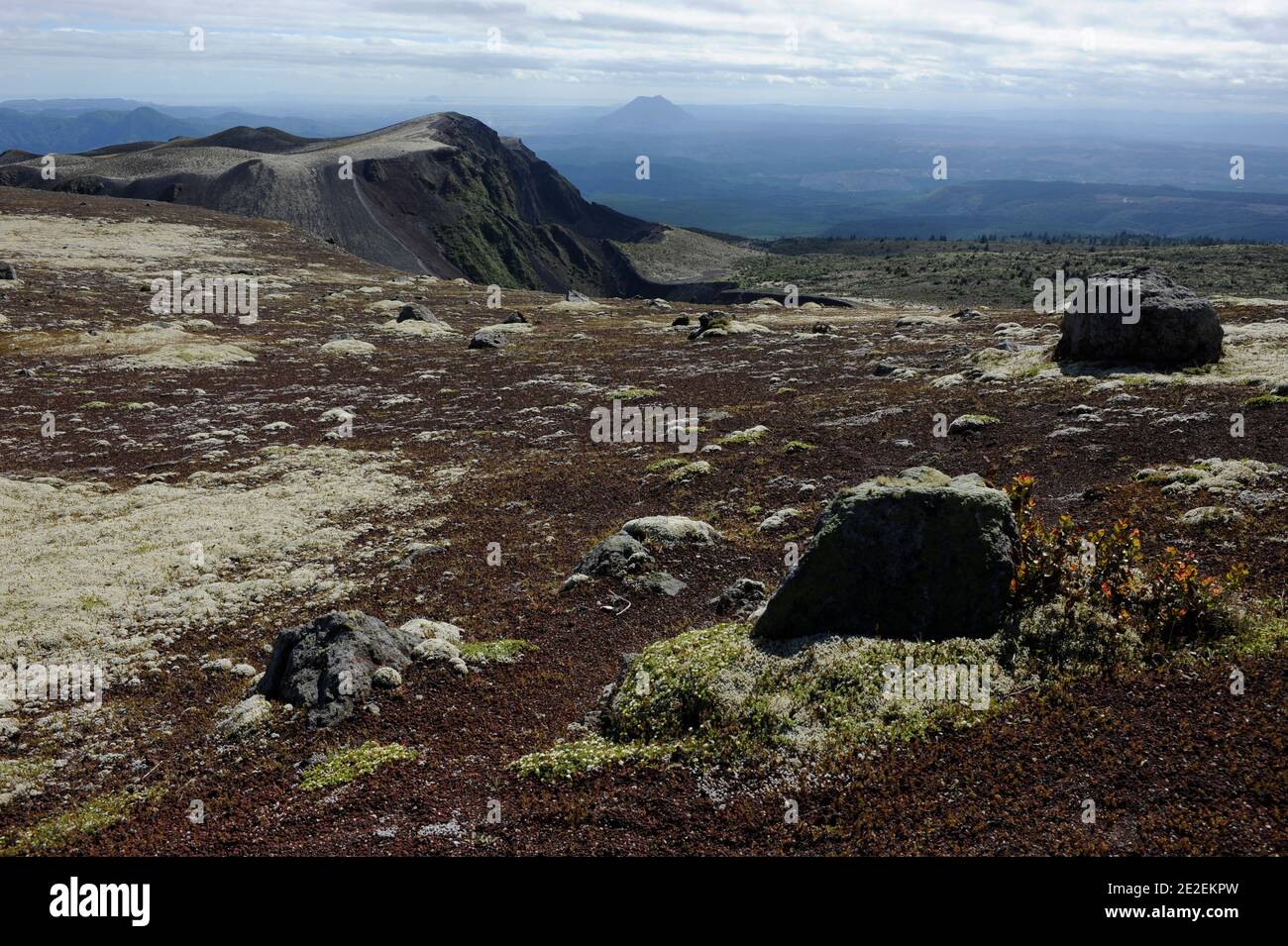 Tarawera volcano hi-res stock photography and images - Alamy