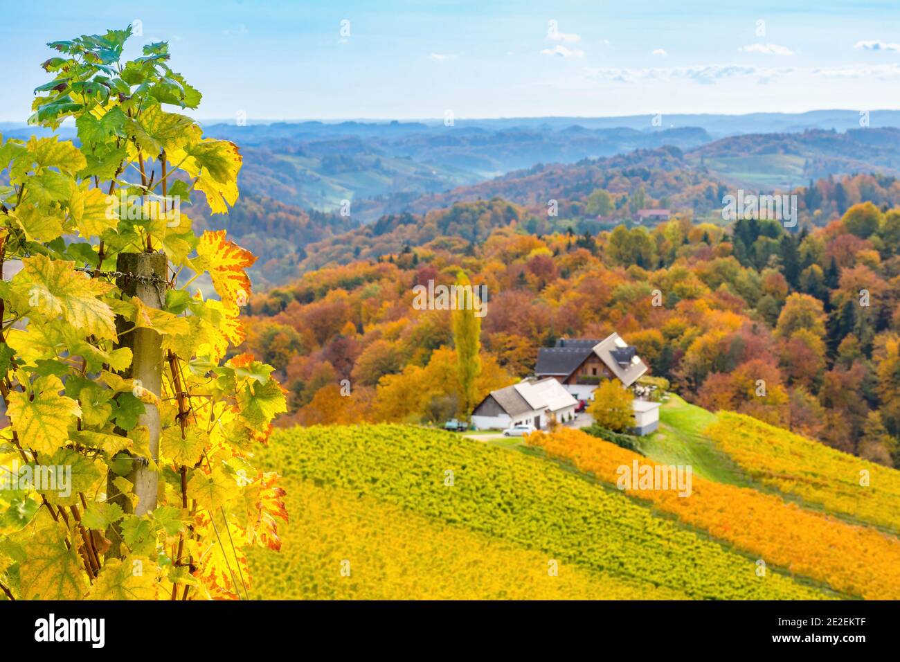 Autumn at South Styria vineyards (Austrian Tuscany), a charming region ...