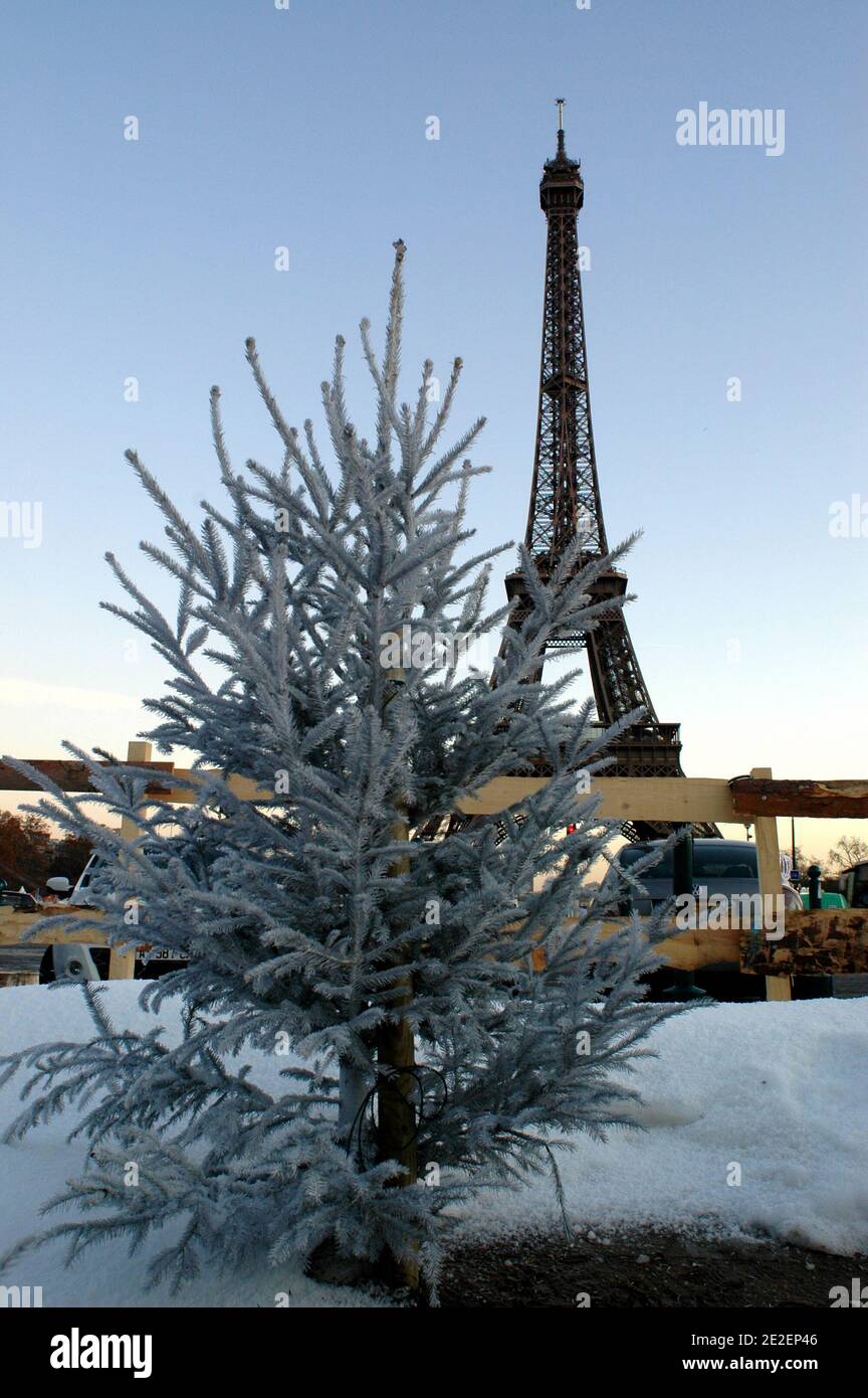 Christmas in Paris, Eiffel Tower, Christmas tree, December 12, 2011 ...