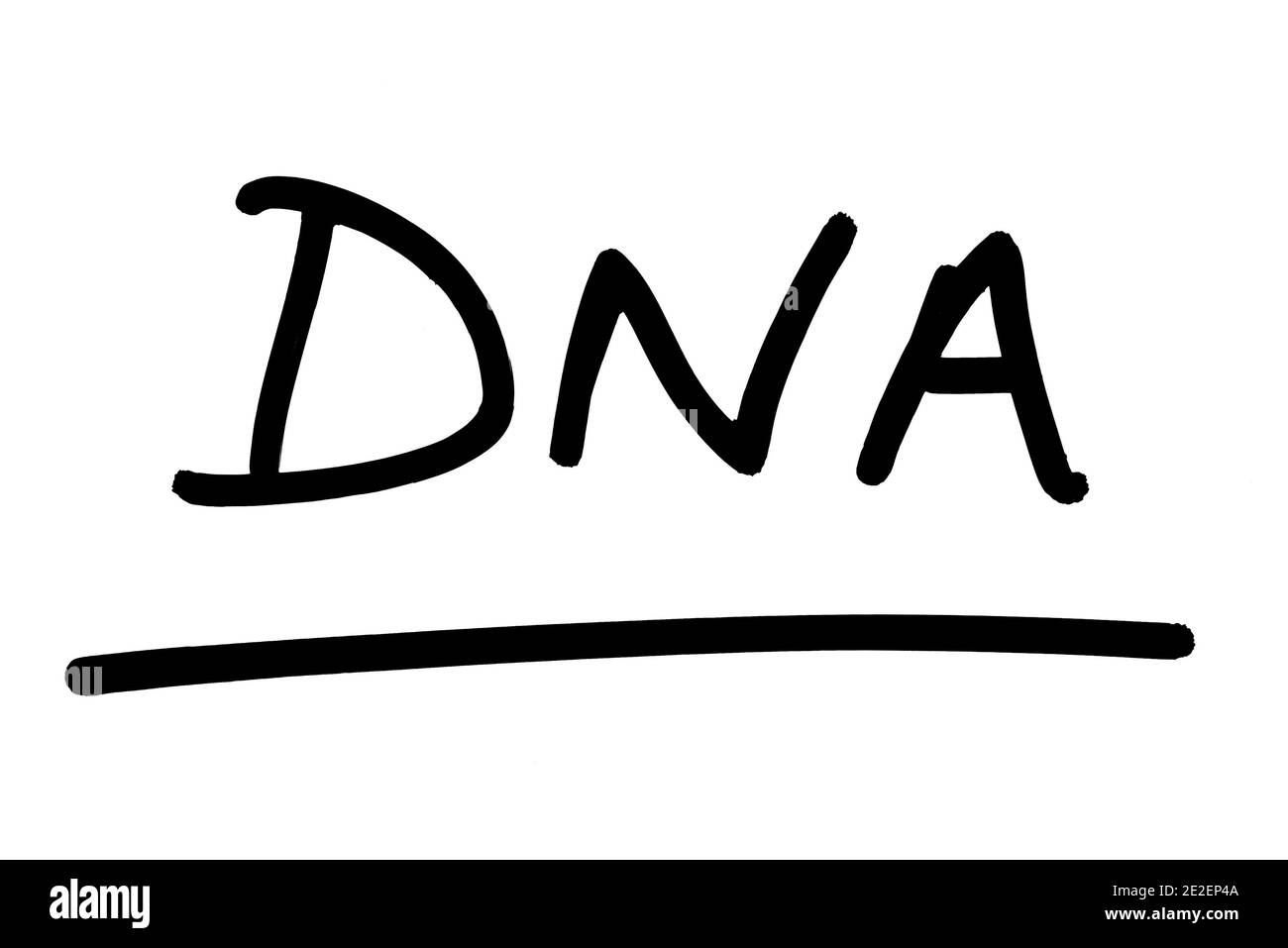 DNA, handwritten on a white background Stock Photo - Alamy
