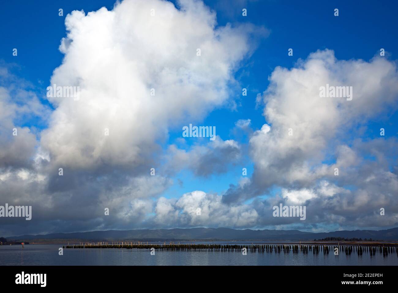 WA19145-00...WASHINGTON - Lines of old pylons for holding logs waiting ...