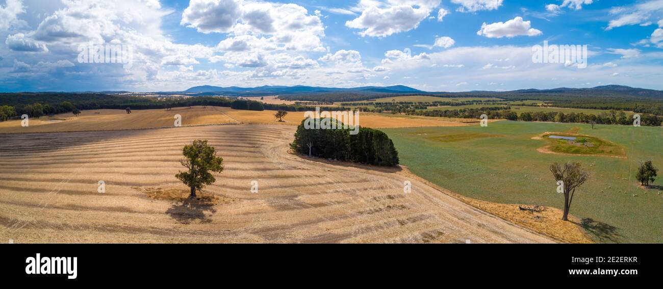 Aerial panorama of scenic fields and grasslands on bright summer day in ...