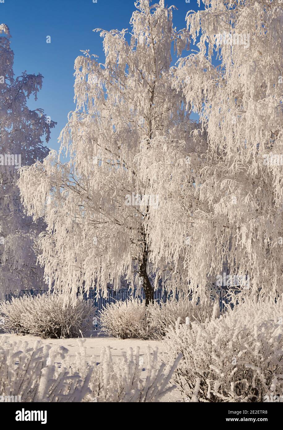 Thick frost layer hi-res stock photography and images - Alamy