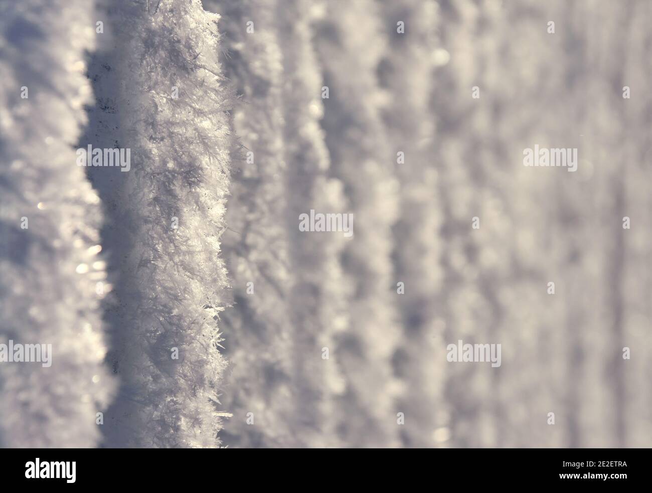 Fence in a thick layer of frost Stock Photo - Alamy