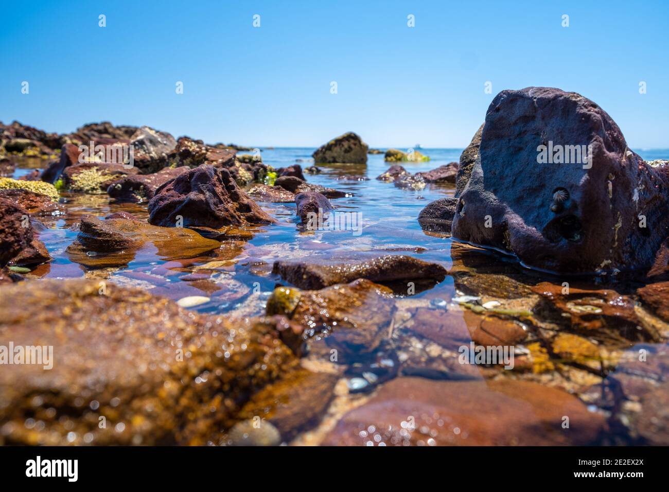Large boulders with seashells in shallow ocean bay water on bright ...