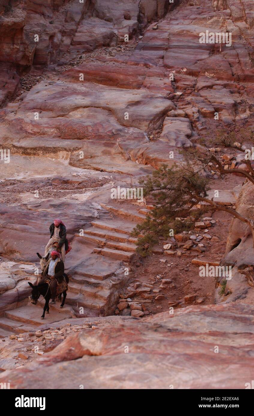 Monkey rides hi-res stock photography and images - Alamy