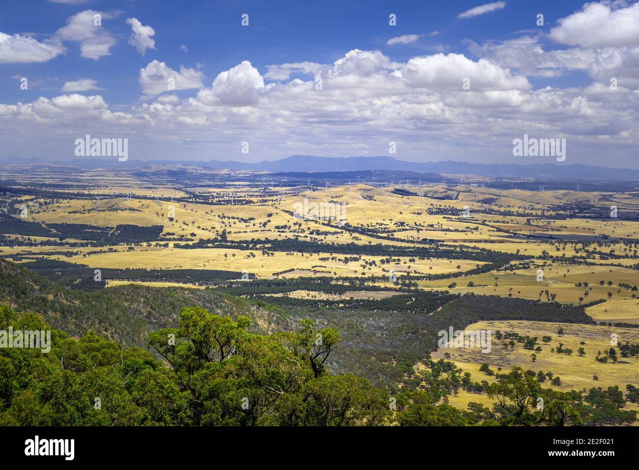 Scenic view of beautiful Australian outback with windfarm on yellow ...