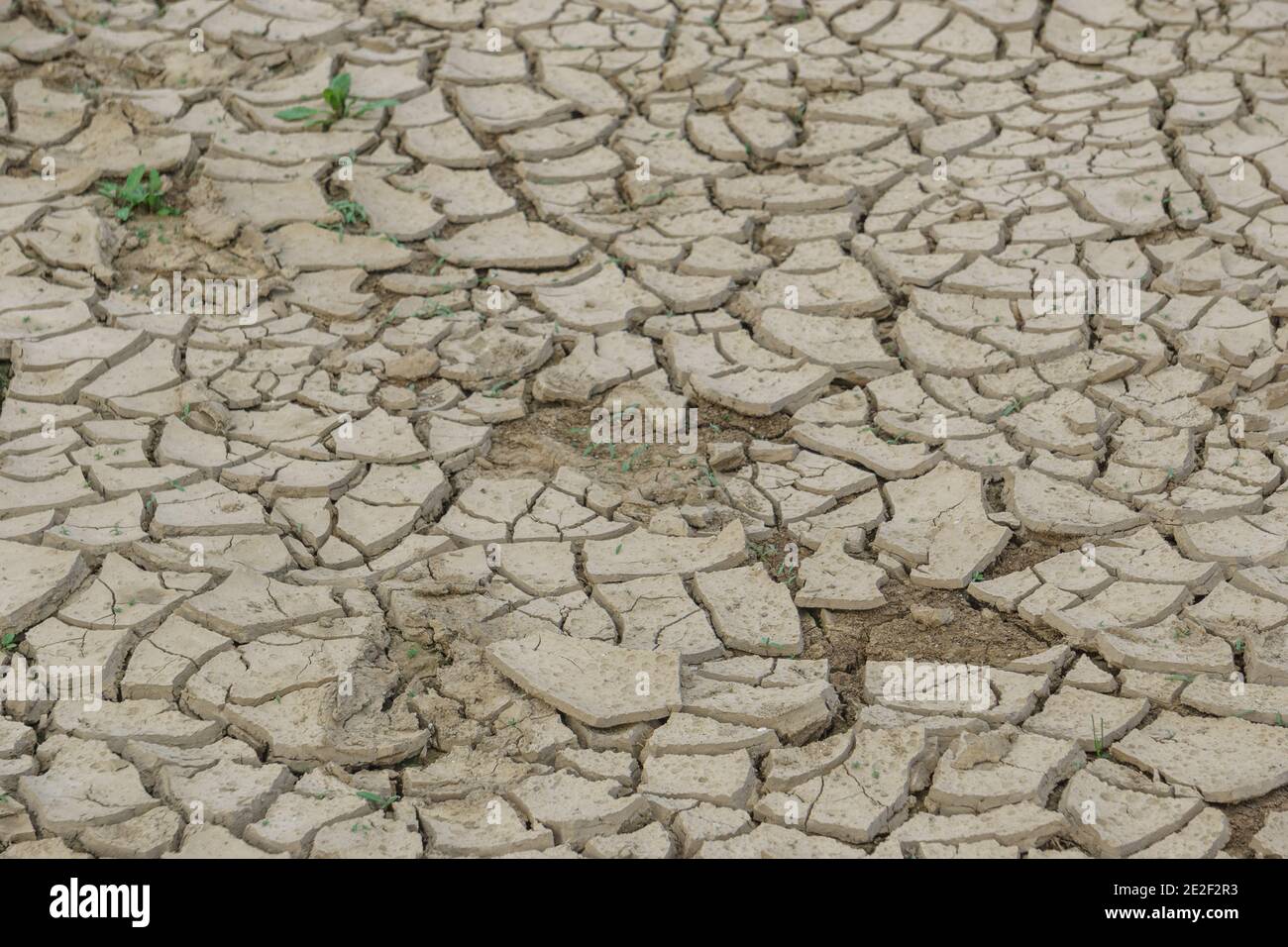 cracked soil pattern in slovenia Cerknisko jezero Stock Photo - Alamy