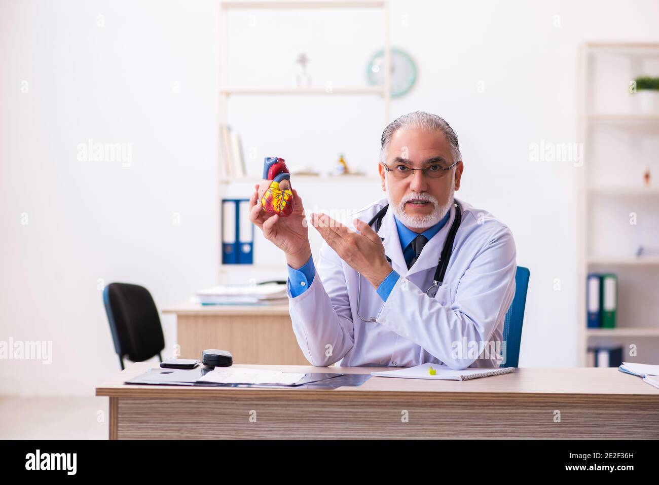 Senior male doctor cardiologist holding heart model Stock Photo - Alamy