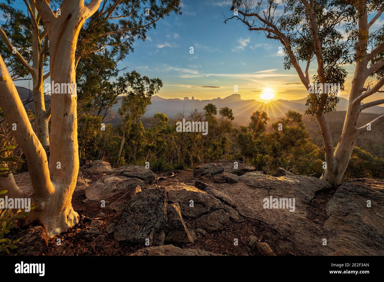 White gum lookout hi-res stock photography and images - Alamy